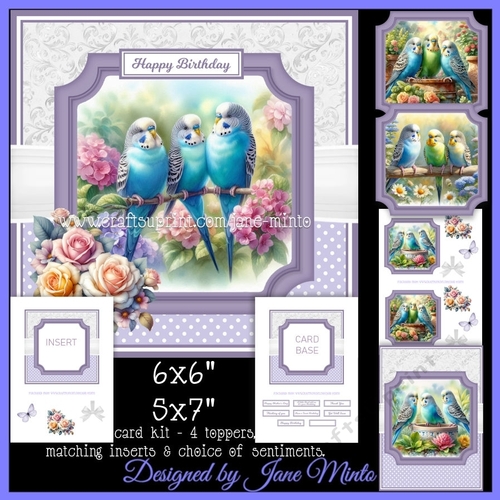 BUDGIES - CUP1314348_57683 | Craftsuprint