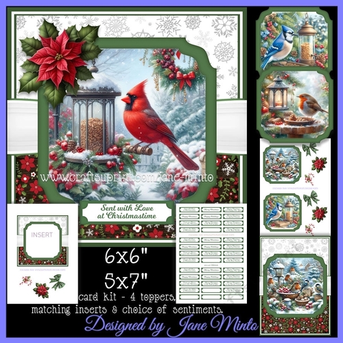 CHRISTMAS BIRDS - Cardinal, Blue Jay, Robin - CUP1320021_57683 ...