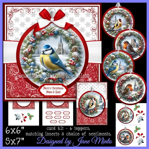 CHRISTMAS CHURCH BIRDS - CUP1345988_57683 | Craftsuprint