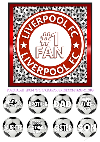 LIVERPOOL FC - CUP838025_57683 | Craftsuprint