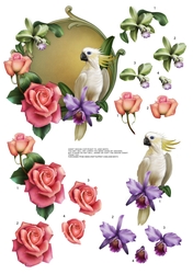 BEAUTIFUL BIRD - Photo by Jane Minto