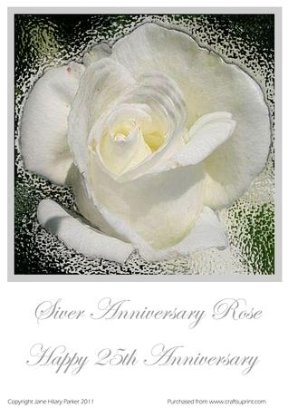 Silver Anniversary Rose - CUP244018_1008 | Craftsuprint