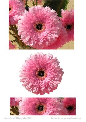 Pink Gerbera - CUP276714_1008 | Craftsuprint