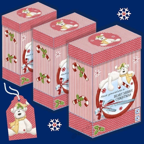 Beary Merry Christmas Gift Boxes - CUP1244184_122915 | Craftsuprint