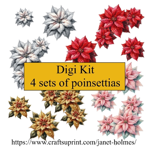 Digi Kit 4 sets of Poinsettias kit 1 - CUP1378851_91280 | Craftsuprint