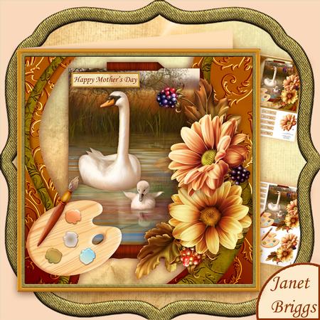 Artists Canvas Swan & Cygnet 7.5 Decoupage Mini Kit - CUP666837_68 ...