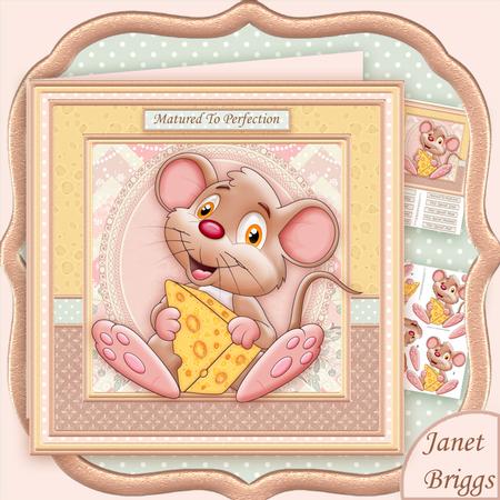 Matured to Perfection 8x8 Decoupage Mini Kit Men or Women - CUP668257 ...