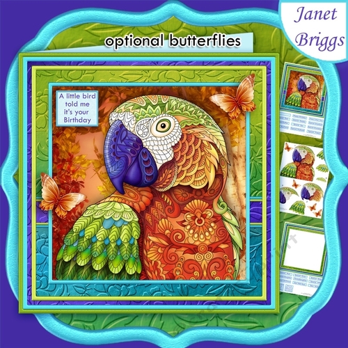 PARROT 8x8 Decoupage & Insert Mini Kit - CUP768222_68 | Craftsuprint