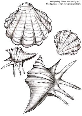 Seashells 2 ~ Digital Stamping - CUP205792_730 | Craftsuprint