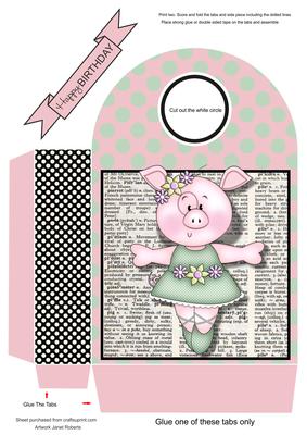 Ballerina Pig Dictionary Large Gift Bag - CUP608236_2053 | Craftsuprint