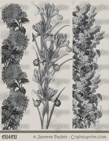 Greyscale Floral Borders 2 - CUP367856_1749 | Craftsuprint