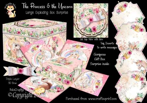 The Princess and the Unicorn Exploding Box Surprise Kit. - CUP1036354 ...