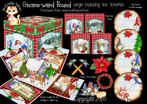 Gnome-ward Bound Exploding Box Surprise Kit. - CUP1079256_905 ...
