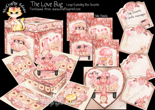 The Love Bug Exploding Box Surprise Kit. - CUP1091134_905 | Craftsuprint