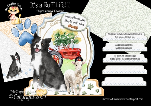 Its a Ruff Life 1 Shaped 6x6 Card & Envelope Kit - CUP1161588_905 ...