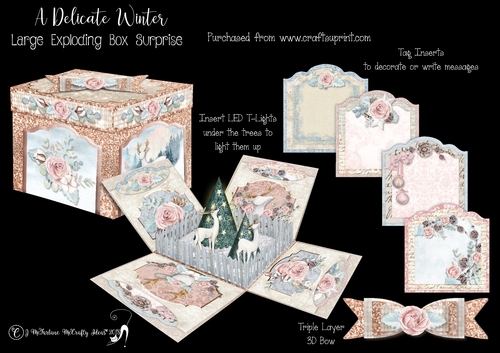 A Delicate Winter Exploding Box Surprise Kit. - CUP923331_905 ...