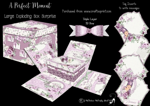 A Perfect Moment Exploding Box Surprise Kit. - CUP957002_905 | Craftsuprint