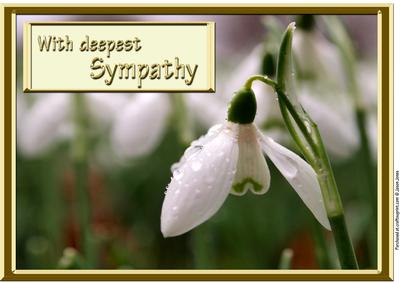Snowdrops Sympathy Card. - CUP190025_1068 | Craftsuprint