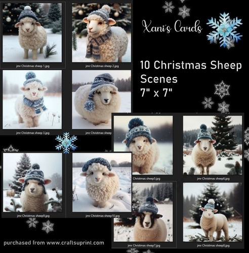 Christmas Sheep - CUP1261274_97497 | Craftsuprint