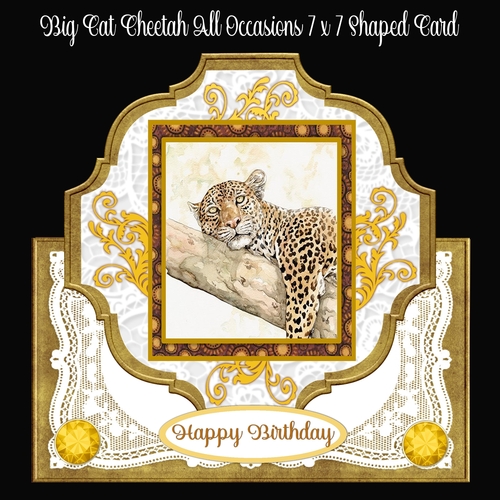 Big Cats Cheetah All Occasions 7 x 7 Shaped Card - CUP1214125_2474 ...