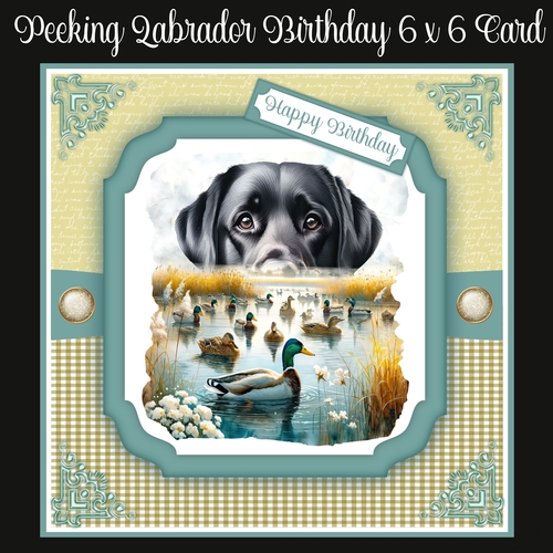 Peeking Labrador Birthday 6 x 6 Card - CUP1289266_2474 | Craftsuprint