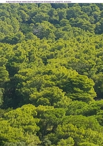 Forest A4 Background - CUP995500_2474 | Craftsuprint