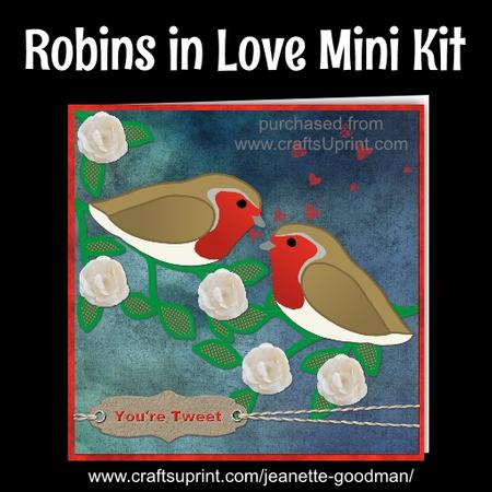 Robins in Love Night Kit - CUP598082_1550 | Craftsuprint