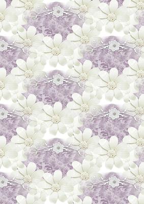 White Flowers Backing Paper - CUP198665_512 | Craftsuprint