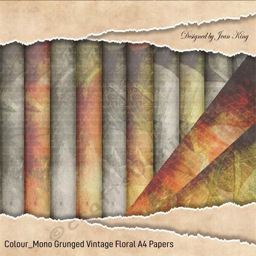 Colour_mono Grunged Vintage Floral A4 Papers - CUP521844_1298 ...