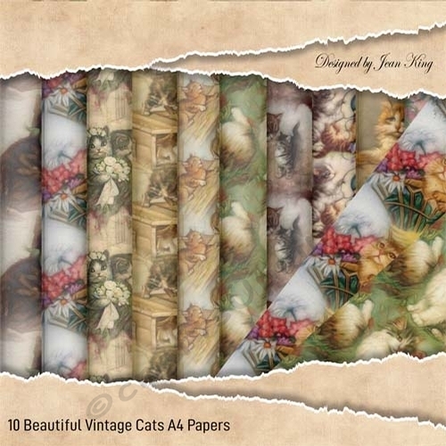 Beautiful Vintage Cats A4 Papers - CUP573489_1298 | Craftsuprint