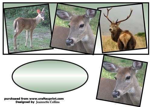 dear dear dear - CUP767624_1751 | Craftsuprint