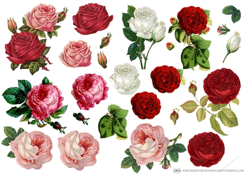 VINTAGE CABBAGE ROSES RED - CUP1079280_102747 | Craftsuprint