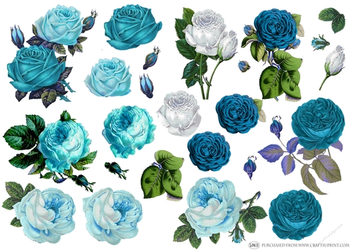 VINTAGE CABBAGE ROSES BLUE - CUP1093538_102747 | Craftsuprint