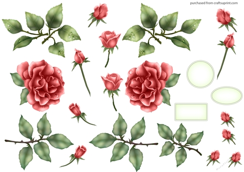 ELEGANT ROSE DECOUPAGE PEACH - CUP1222397_102747 | Craftsuprint