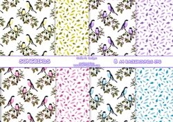 SONGBIRDS BACKGROUND KIT - Photo by Linda Short