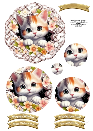 Peeking cat 3 - CUP1368542_1716 | Craftsuprint