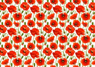 Beautiful Poppy Background - CUP212376_470 | Craftsuprint