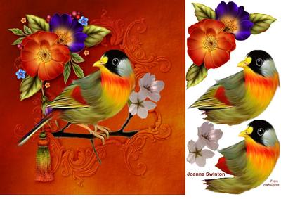 Beautiful Bird & Flower Card - CUP338269_470 | Craftsuprint