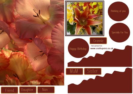 Beautiful Lily & Backing Paper Robo - CUP700284_470 | Craftsuprint