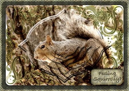 Feeling Squirrelly Shaped Pyramid A5 Card Kit - CUP212410_126 ...