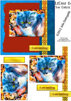 Lechat 6, Bright Eyed 6 Inch Sq Pyramid Card - CUP309554_126 | Craftsuprint