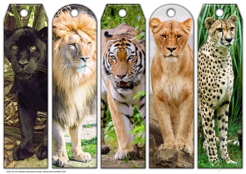 JJ ASSORTED BOOKMARKS BIG CATS WILD - CUP788446_3406 | Craftsuprint