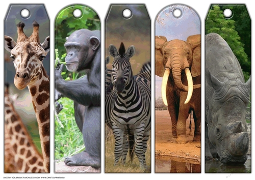 JJ ASSORTED BOOKMARKS AFRICAN ANIMALS - CUP788648_3406 | Craftsuprint