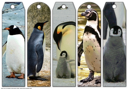 JJ ASSORTED BOOKMARKS PENGUINS - CUP789758_3406 | Craftsuprint