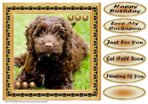 JJ LOVE MY DOG COCKAPOO 8X8 - CUP797472_3406 | Craftsuprint