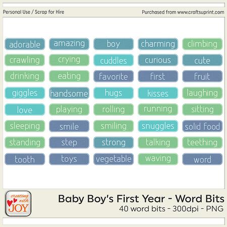Baby Boy's First Year - Word Bits - CUP664087_2356 | Craftsuprint