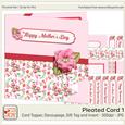 Pleated Floral Cut and Fold Mothers Day Card - CUP673026_2356 ...
