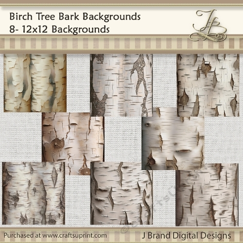 Birch Wood Tree Bark Background - CUP1363890_95270 | Craftsuprint