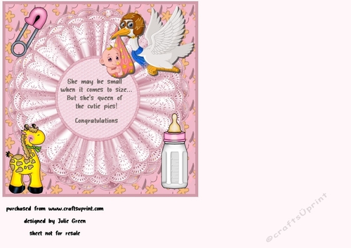 A baby girl delivery insert - CUP1018141_653 | Craftsuprint