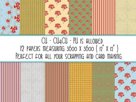 Paper Pack 3 - 12 Papers - CUP186829_1031 | Craftsuprint